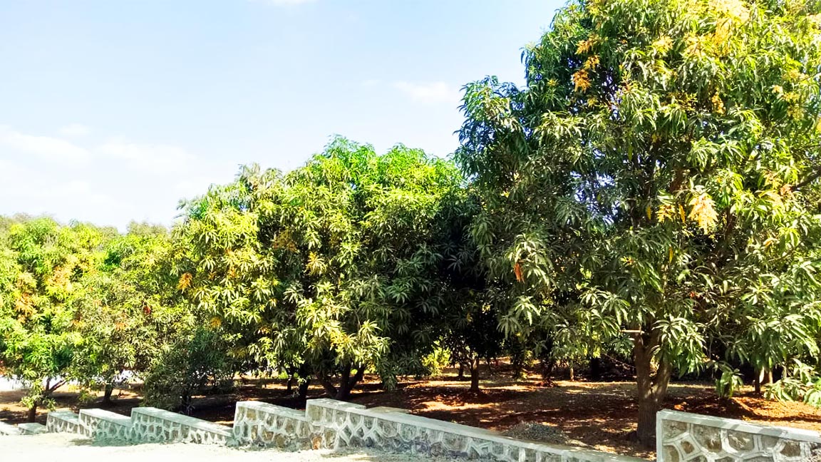 Gallery-KF - Kamal Farm Resort